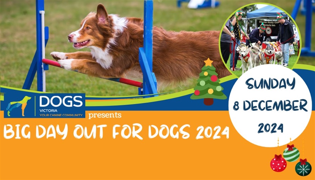 Big Day Out for Dogs 2024 - Frankston City Council